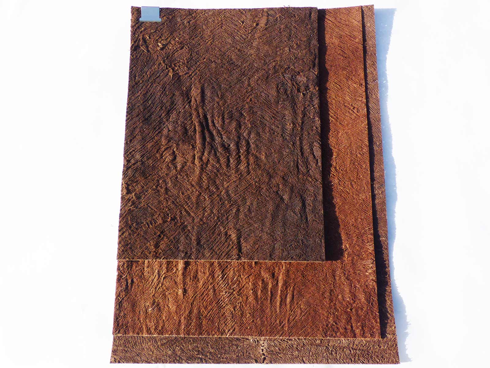 BARKTEX® for corporations | Barktex Shop English