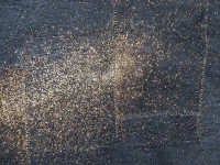 BARKTEX® for corporations | Barktex Shop English